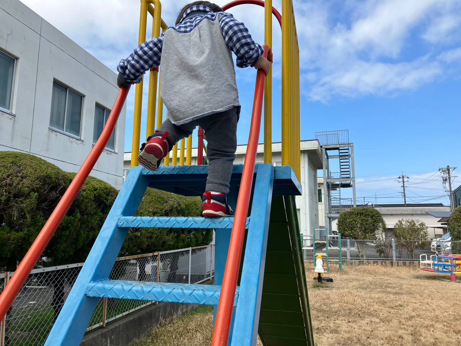 S__81930 | さるクマ-さるこう、熊本-