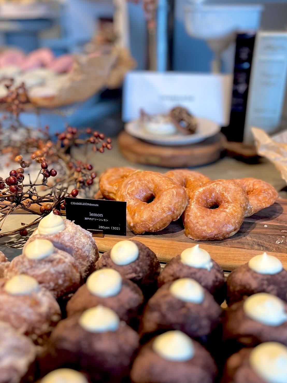 【CHAMELEÓN donuts(カメレオンドーナツ)－菊池郡菊陽町－】オープン後から大人気！素材に合わせて七変化するドーナツは全50種類 ...
