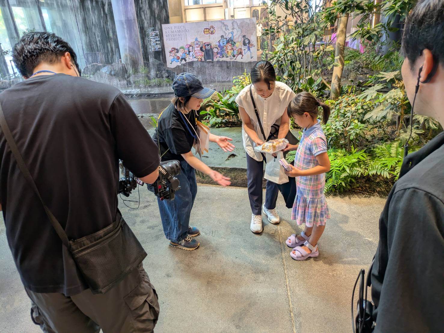 99510 | さるクマ-さるこう、熊本-